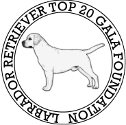Top 20 Gala - The Labrador Retriever Club of the Potomac